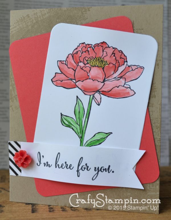 In-Color and New Stamp Set Sneak Peek! - Crafty Stampin'