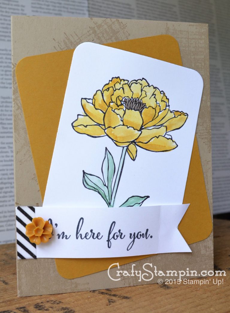 In-Color and New Stamp Set Sneak Peek! - Crafty Stampin'