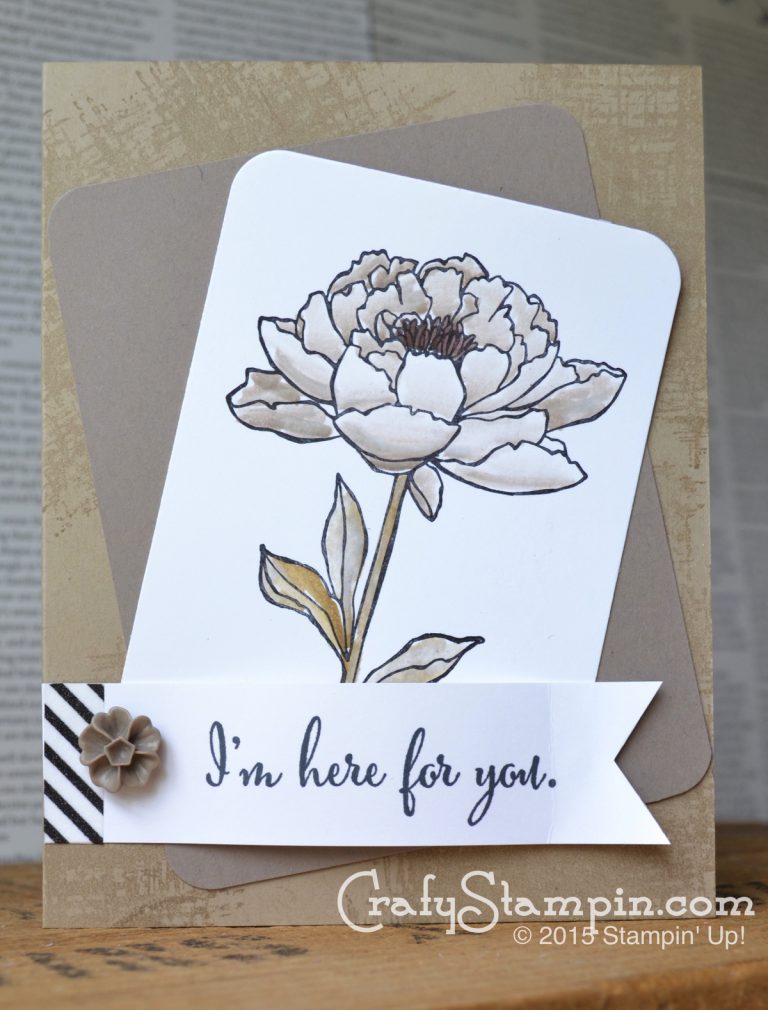 In-Color and New Stamp Set Sneak Peek! - Crafty Stampin'