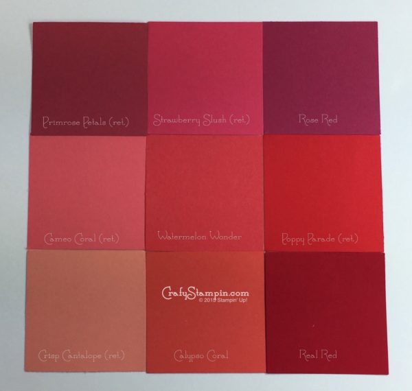 In-Color and New Stamp Set Sneak Peek! - Crafty Stampin'