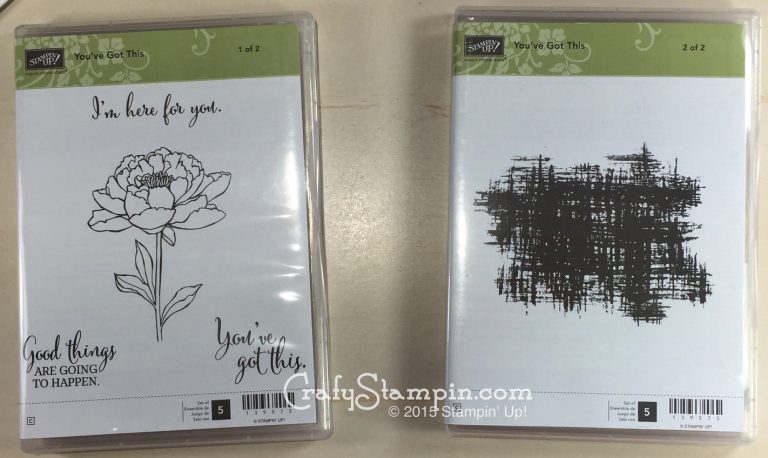 In-Color and New Stamp Set Sneak Peek! - Crafty Stampin'