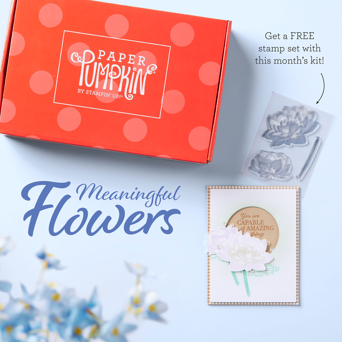 August 2023 Paper Pumpkin Kit - Crafty Stampin'